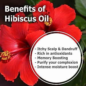 Hibiscus (Hibiscus Sabdariffa L) Essential Oil 100% Pure Uncut Undiluted Cold Pressed Herbal Premium Aromatherapy Oil 50ML