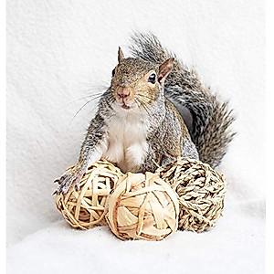 Grass Ball Trio - All Natural Woven Grass Play Ball & Safe Chew Toy - Rabbit, Guinea Pig, Chinchilla, Prairie Dog, Degu, Rat, Hedgehog, Hamster, Rat, Ferret, Squirrel, Bird, Sugar Glider & Small Pets