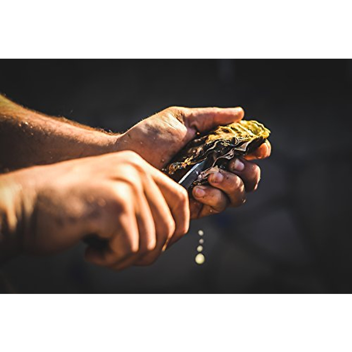 Dexter-Russell 2.75-inch Oyster Knife, New Haven pattern, Metallic