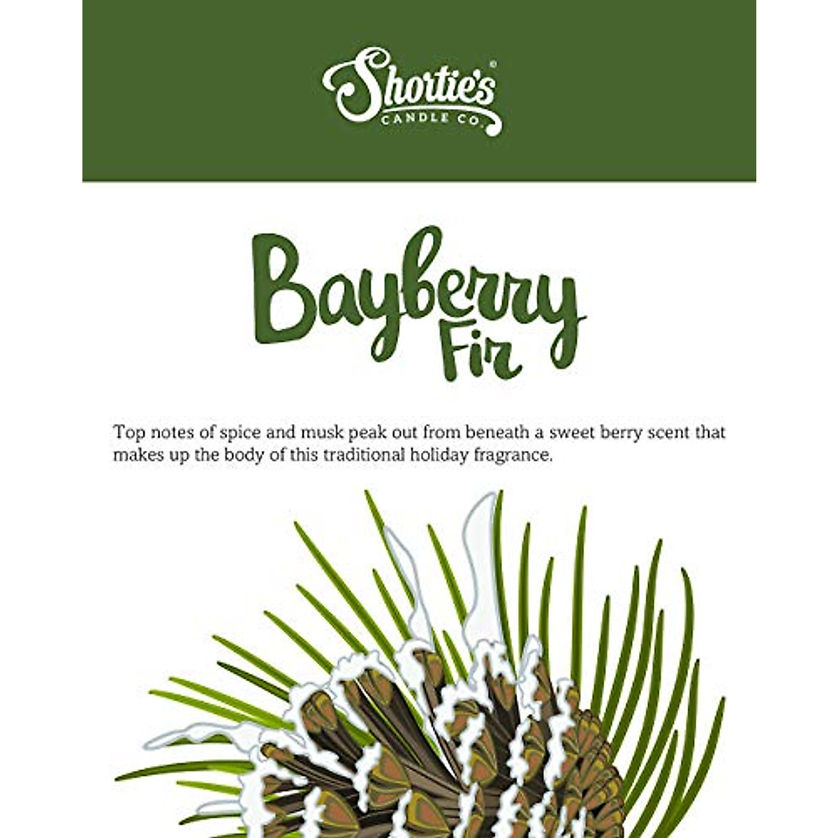 Bayberry Fir Premium Tealight Candles Bulk Pack - Highly Scented with Essential Oils - 24 Green Tea Lights - Beautiful Candlelight - Made in The USA - Christmas & Holiday Collection