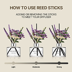 COCODOR Lavender Reed Diffuser/Garden Lavender / 6.7oz(200ml) / 1 Pack/Home Decor & Office Decor, Fragrance and Gifts