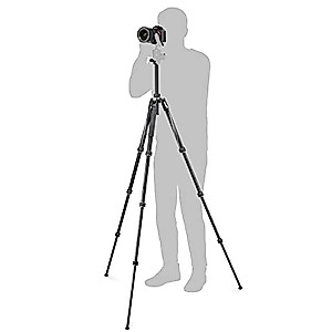 Manfrotto Befree GT 4-Section Aluminum Travel Tripod with 496 Center Ball Head, Black/Silver