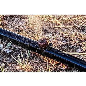 Harrier Hardware 1/2-Inch Irrigation Tubing Hold-Down Anchor Stakes, 3/4 x 5-Inch, 32-Pack