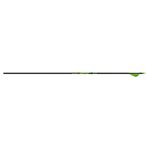 Gold Tip Hunter XT 250 Arrows with 2-Inch Raptor Vanes (1-Dozen)