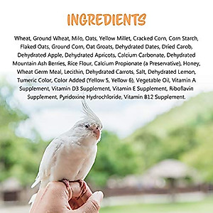 Vitakraft Cockatiel Treat Sticks - Apple And Honey - 3.5Oz, 31693