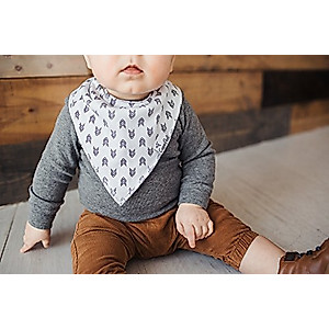 Copper Pearl Baby Bandana Drool Bibs for Drooling and Teething 4 Pack Gift Set “Alta, Soft Set of Cloth Bandana Bibs for Any Baby Girl or Boy, Cute Registry Ideas for Baby Shower Gifts