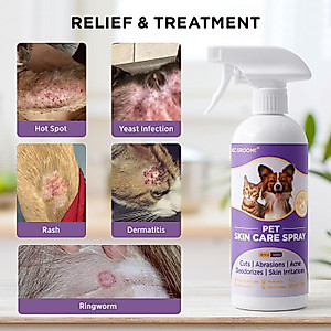 HICC PET Itch Relief Spray & Hot Spot Treatment for Dogs Cats 16.1 Fl Oz