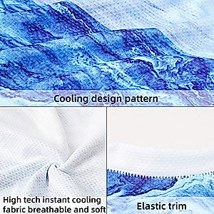 DELIFUR Dog Cool Vest Instant Cooling Clothes for Bulldog Cats on Summer (XX-Large)