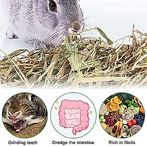 Anyuxin Rabbit Grass Mat - Woven Bed Mat, Bunny Bedding for Small Animals, Natural Straw Woven Bed for Pet Nesting, Nature Hay Mat Chewing Play Toy for Guinea Pig, Hamster, Squirrel and More（3 Pack）