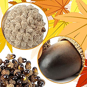 BigOtters 100 PCS Artificial Acorn, Fake Nutty Craft Acorns with Natural Acorn Cap Simulation Fruit Props for Vase Filler, Home House Autumn Favor, Thanksgiving Day Christmas Wedding Decor