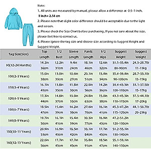 ZFTTZYMX Youth 2Pcs Brushed Fleece Sweatsuit Hooded Pullover Tracksuit Kids Boys Girls Sweatshirt + Pants Outfits Set