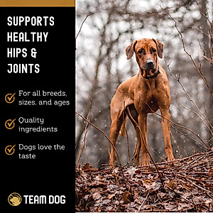TEAM DOG Hip and Joint Chews for Dogs | Arthritis & Joint Support Supplements for Dogs | MSM, Chondroitin & Glucosamine for Dogs | Small, Medium & Large Breed | Chicken, Duck & Pea Flavor | 120 Count