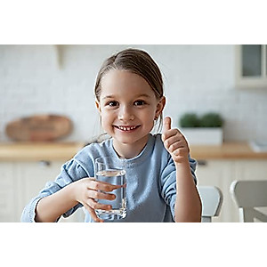 Lake Industries Stainless Steel Countertop Water Purifier Filter (KDF Cartridge)