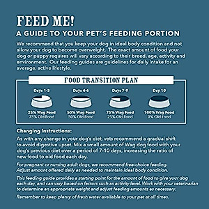 Amazon Brand - Wag Dry Dog Food Lamb & Lentil Recipe, 4 lb. Bag