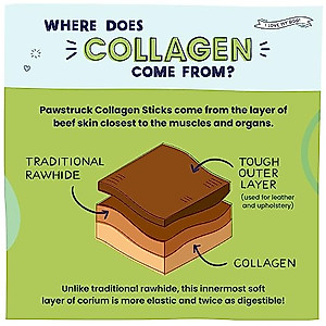 Pawstruck All Natural 11-12" Roasted Collagen Sticks for Dogs - Low Odor & Long Lasting Alternative to Bully Sticks and Rawhide Chews - Grain Free, Single Ingredient & Vet Approved - 5 Pack