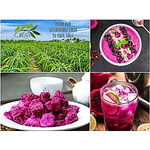 CHAVI Freeze-Dried Diced Dragon Fruit Snack - 2 Oz - Healthy 1 Ingredient Superfood - No Added Sugars or Preservatives - Non-GMO, Vegan, Gluten-Free…