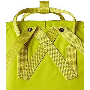 Fjallraven - Kanken Classic Backpack for Everyday, Birch Green