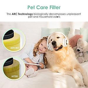 HSIAMEN [Pet Care] Replacement Filter Compatible with Tenergy Renair TAP01, Cool-Living CL-6070A, Beaba, Tredy TD-1300, 3-in-1 H13 True HEPA Filters, Yellow 2-Pack