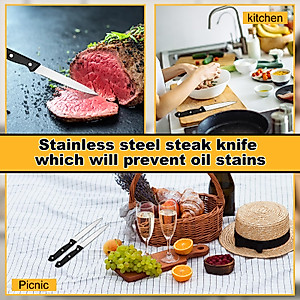 Lasnten 100 Pcs 8.78 Inches Stainless Steel Steak Knives Set Pointed Tip Steak Knives Plastic Handle Kitchen Steak Knife for Restaurant Tableware Camping Wedding Party, Black