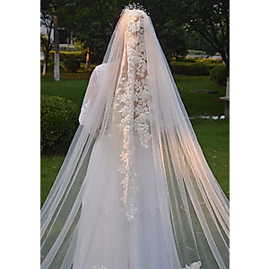 FAIOKAVER Wedding Veils Cathedral Long Floral Sequins Lace 5 Meters 1 Tier with Comb