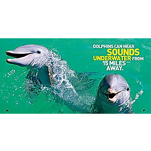 Weird But True ! 1, 350 Outrageous Facts