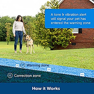 PetSafe Classic In-Ground Fence Rechargeable Receiver Collar for Dogs and Cats - from The Parent Company of Invisible Fence Brand - 7 Levels of Adjustable Static Correction - for Pets 5 lb and Up