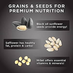 Audubon Park 12225 Premium Blend Wild Bird Food, 5-Pounds, 80 Fl Oz (Pack of 1)