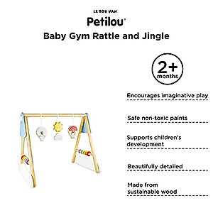 Hot Air Balloon Baby Gym Premium Wooden Toys for Kids Ages 2 Months & Up