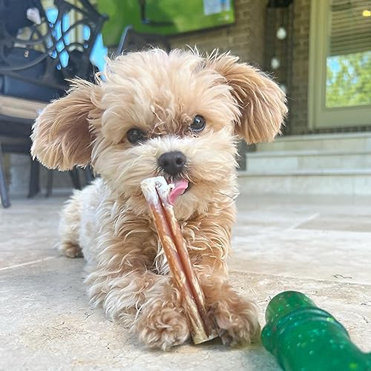 Pawstruck All-Natural 3-5" Bully Sticks for Small Dogs & Puppies – Single Ingredient, Low Odor & Rawhide-Free Dental Chew Treat Bones - 100% Real Beef with No Artificial Preservatives - 8 oz Bag