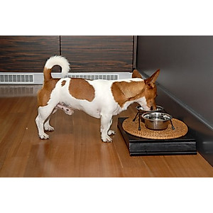 Dog Greens- Organic and Wild Harvested Vitamin and Mineral Supplement for Dogs - Add to Home Made Dog Food, RAW Food or Kibble - No Hassle-30 Day