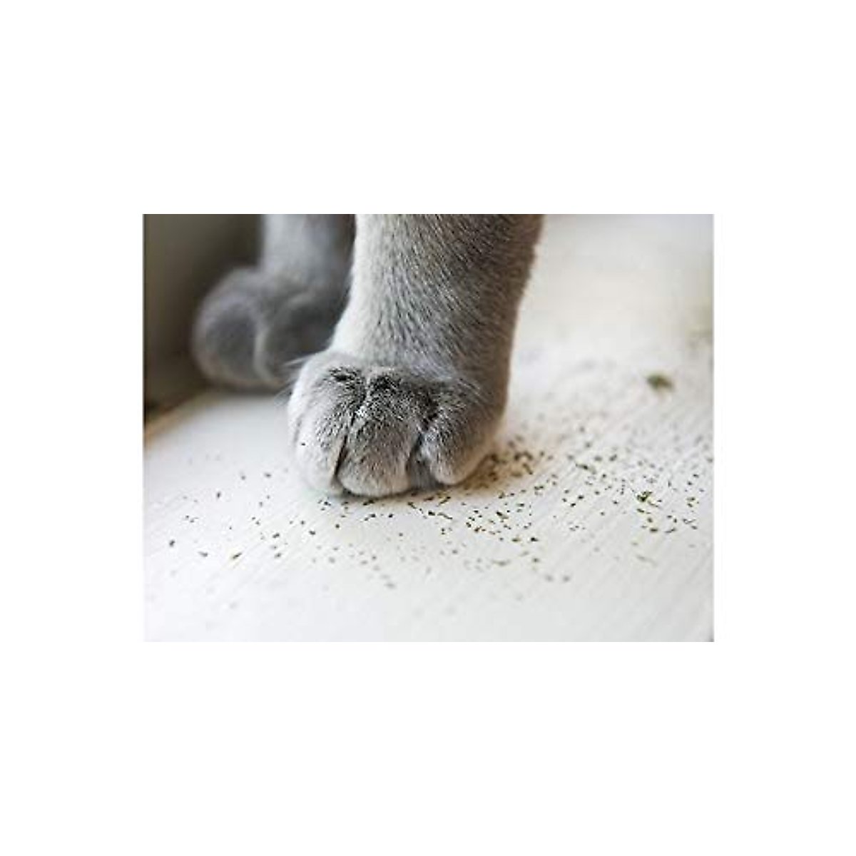 Meowijuana Whisker Tickler Catnip, Chamomile & Dandelion Blend for Cats, .917 oz., Medium