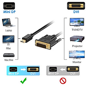 Rankie Mini DisplayPort (Mini DP) to DVI Cable, Thunderbolt Port Compatible, Gold Plated, 6 Feet