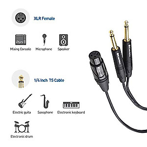 Cable Matters Female XLR to 1/4 Splitter Adapter Cable 6 ft (Dual 1/4 inch to XLR Mono Audio Cable)