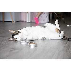 Meowy Janes Silver Vine for Cats - 45 Grams of Powder - All Natural Catnip Alternative