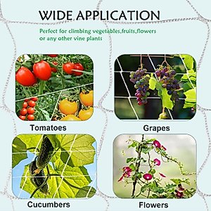 RC SLL Garden Trellis Netting 5×15FT 2-Pack,Heavy-Duty Polyester Trellis Net for Climbing Plants Outdoor,Plant Supporting Net for Vine Plants,Hydroponics Garden Climbing Net,Bonus One Twist Tie
