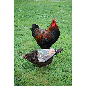 The Chicken Chick® Hen Mating Saddle Standard…