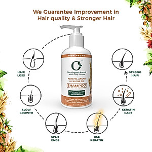 Sulfate Free Keratin, Castor Oil & Moroccan Argan Oil Shampoo | Moisturizing, Color Safe Shampoo for Dry, Oily, & Thinning Hair | Paraben-Free, No Sodium Lauryl Sulfate, Dry Scalp Repair