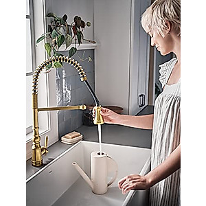Moen WeymouthBrushed Gold One Handle Pre-Rinse Spring Farmhouse Pulldown Kitchen Faucet with Power Boost for a Faster Clean, S73104BG