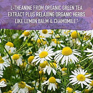 Garden of Life mykind Organics Sleep Well Rest & Refresh 30 Tablets, Lemon Balm, Green Tea Extract L-Theanine, Valerian Root, Chamomile, Probiotics-Organic Non-GMO Vegan Gluten Free Herbal Supplement