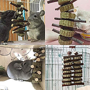 Hamiledy Bunny Chew Toy for Teeth,Guinea Pig Natural Organic Fruitwood Sticks with Grass Cake for Rabbits,Chinchillas,Gerbils, Squirrels, Hamsters, Chewing/Playing Pet Snacks Toy/Improve Dental Health
