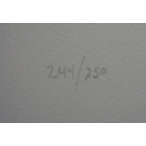 Vitraux in Four Sheets Puzzle of Life