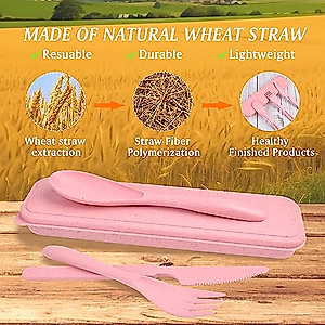 Travel Utensil Set with Case, 2 Sets Forks Spoons and Knives Set, Wheat Straw Reusable Plastic Utensils, Portable Cutlery Set, BPA Free Lunch Box Utensils Set for Work, Dorm, Camping (Pink, Blue)