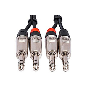 Hosa HSS-010X2 Dual REAN 1/4" TRS Pro Stereo Interconnect Cable, 10 Feet