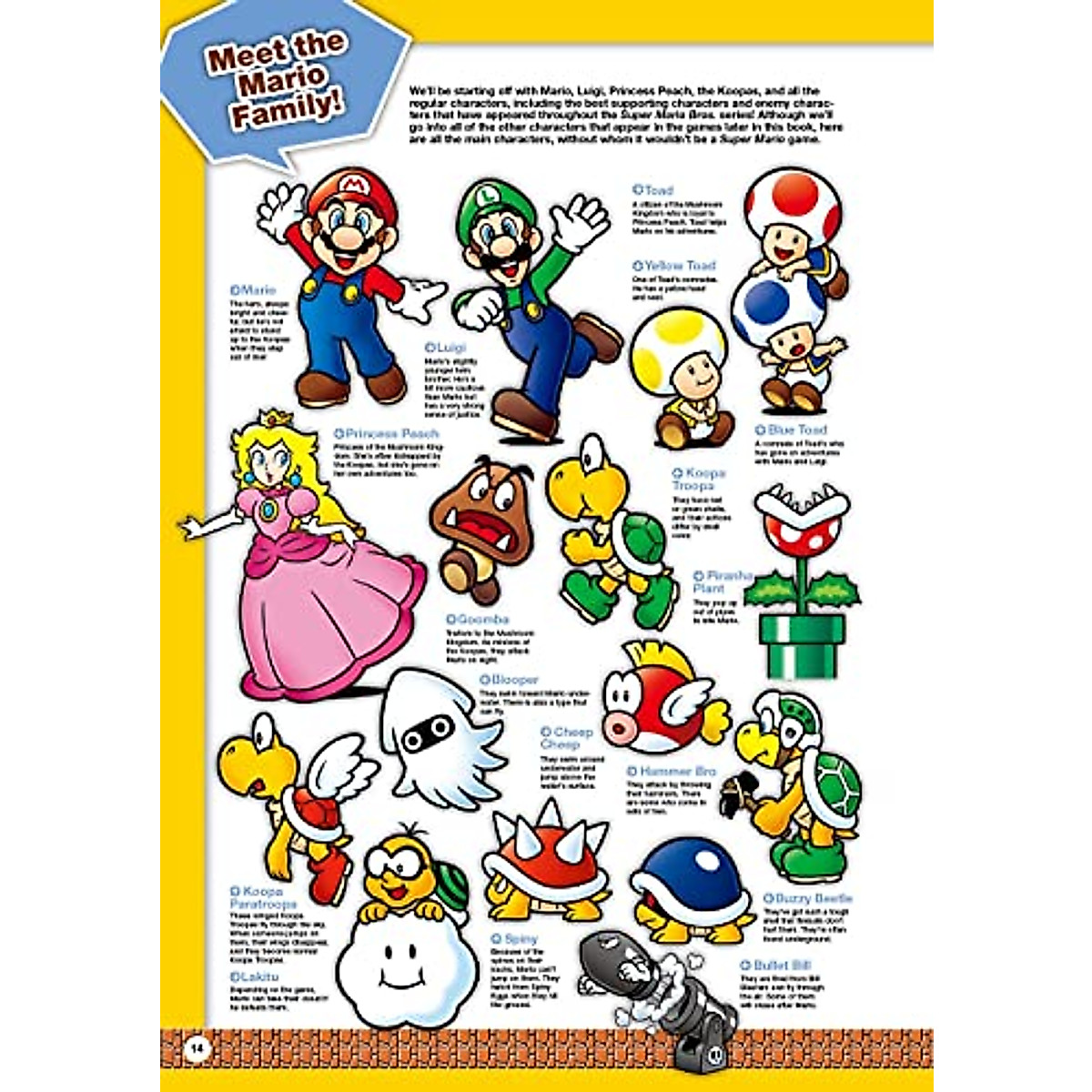 Super Mario Encyclopedia: The Official Guide to the First 30 Years