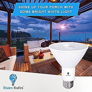 2 Pack PAR30 Outdoor LED Flood Light Bulb 12W 100 Watt Equivalent 900 Lumens Dimmable Waterproof E26 5000K Daylight LED Flood Light Bulbs for Security Led Spotlight Bulb Led Recessed Light Bulbs