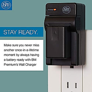 BM Premium 2-Pack of VW-VBT190 Batteries and Battery Charger for HC-V800K, HC-VX1K, HC-WXF1K, HCV520, HC-V550, HCV710, HCV720, HC-V750, HC-V770, HC-VX870, HC-VX981, HC-W580, HC-W850, HCWXF99