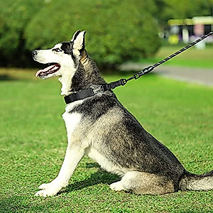 CBBPET Dog Prong Collar, Adjustable Dog Training Collar with Quick Release Buckle for Small Medium Large Dogs