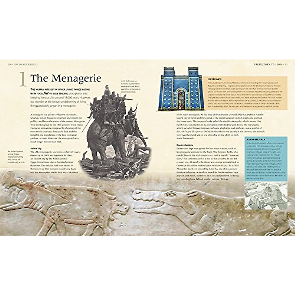 Biology: An Illustrated History of Life Science (100 Ponderables)