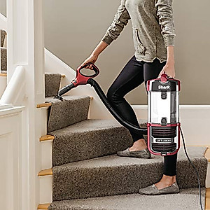 Shark ZU561 Navigator Lift-Away Speed Self Cleaning Brushroll Lightweight Upright Vacuum with HEPA Filter, Red Peony