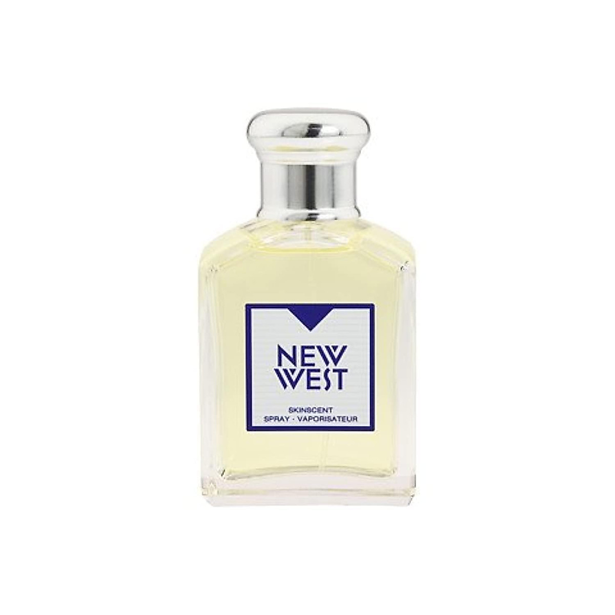 Aramis New West Skinscent Spray, 3.4-Ounce